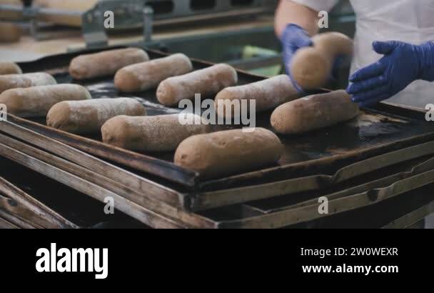 Confectionary factory bakery workers arrange the dough on the tray to ...