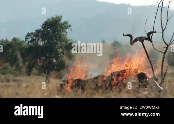 Burnt to death corpse Stock Videos & Footage - HD and 4K Video Clips ...