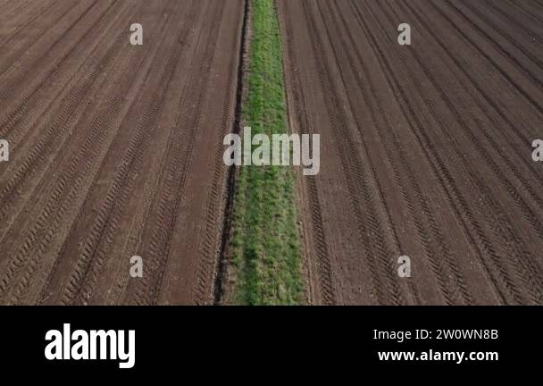 Green grass border Stock Videos & Footage - HD and 4K Video Clips - Alamy
