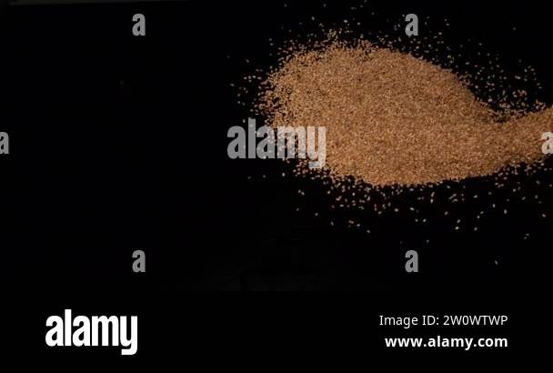 Gold Coloured Sesam, sesamum indicum, Seeds falling against Black ...