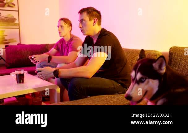 Husky game Stock Videos & Footage - HD and 4K Video Clips - Alamy