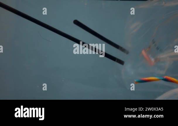 Environmental pollution. Ecology. A plastic bottle, bag, plastic caps ...