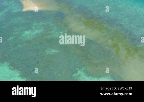 Tropical island with white sandy beach and coral reefs. Aerial seascape ...