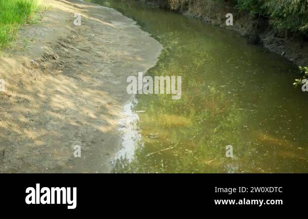 Drought and drying river Morava water, dry up the soil cracked ...