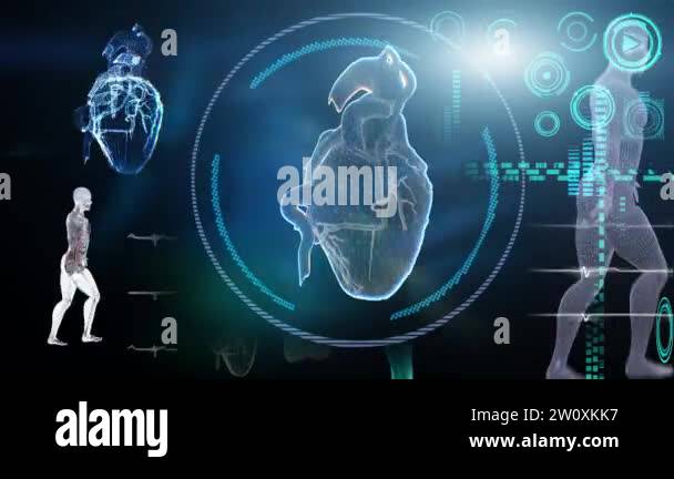 medical Interface, Heart scan animation. The interface for detecting ...