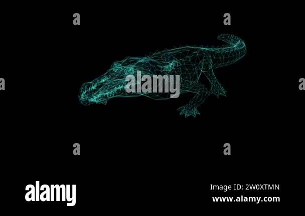 wire frame animation of bear attack on black background Stock Video ...