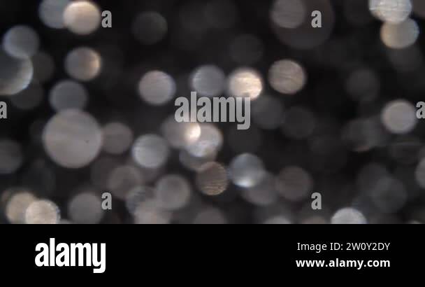 Blurry bokeh background Stock Videos & Footage - HD and 4K Video Clips ...