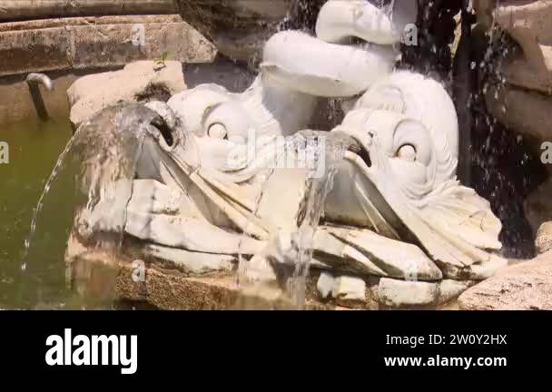 Two camera shots, details of a fountain, fish pouring water through the ...