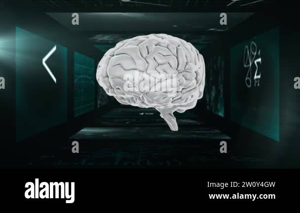 Animation of a 3D human brain model spinning over a tunnel made of ...