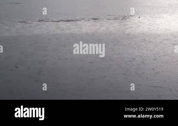 Gulley pond Stock Videos & Footage - HD and 4K Video Clips - Alamy