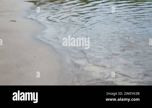 Yellow sand is visible through the clear wavy river water. Crystal ...