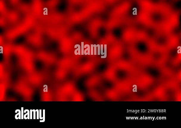 Random Blurry Gaussian Noise and Red Blood Cells - 4K Seamless Loop ...