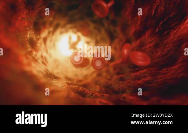 Red blood cells travelling through a blood vessel. Seamless loop 3d ...