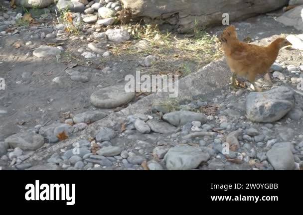 Outside running Stock Videos & Footage - HD and 4K Video Clips - Alamy