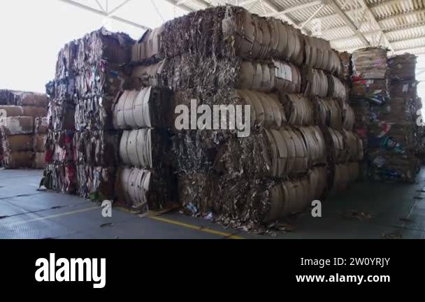 Waste ground plant Stock Videos & Footage - HD and 4K Video Clips - Alamy