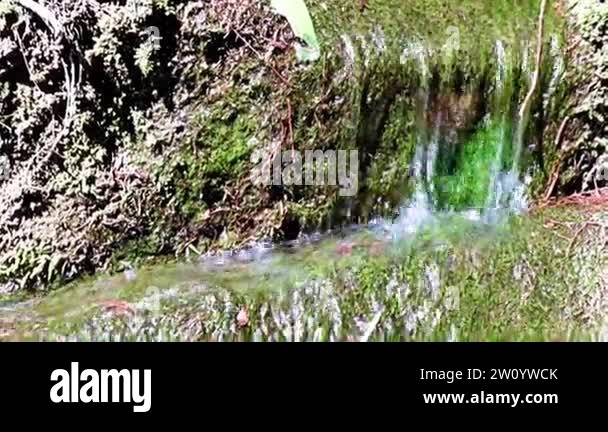 water flow from the drain collector of urban infrastructure Stock Video ...