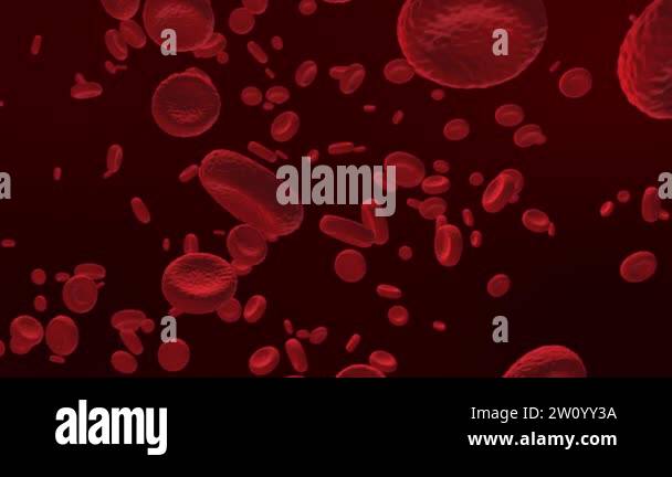 Light microscope artery vein Stock Videos & Footage - HD and 4K Video ...