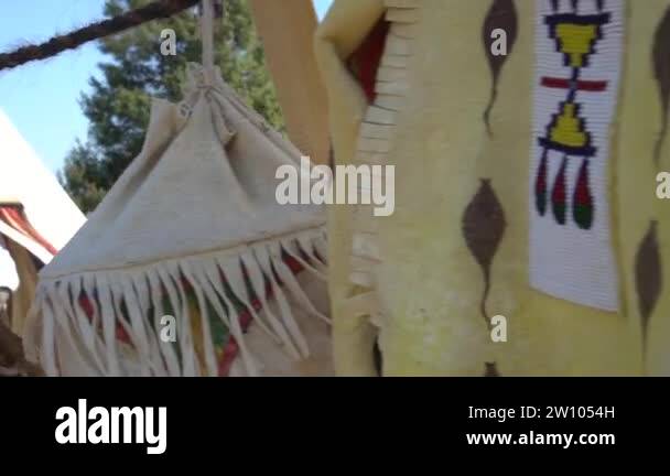 Native sheep Stock Videos & Footage - HD and 4K Video Clips - Alamy