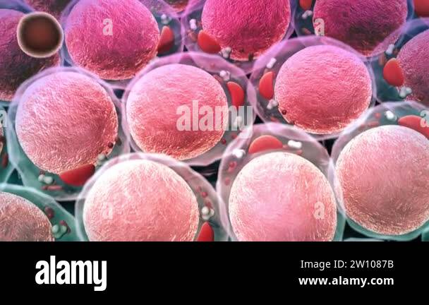 Microcell background Stock Videos & Footage - HD and 4K Video Clips - Alamy