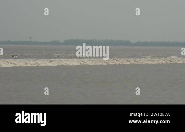 Qiantang river china tidal bore Stock Videos & Footage - HD and 4K ...