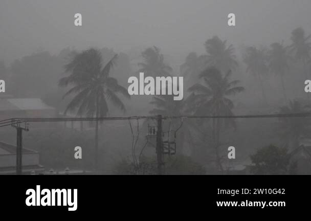 Very strong summer storm with close to hurricane force winds. Heavy ...