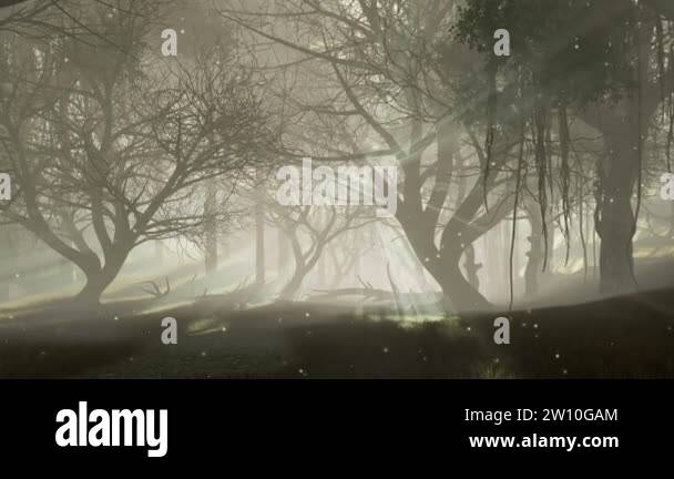 Mystical forest with last sun rays shining through creepy dead trees ...