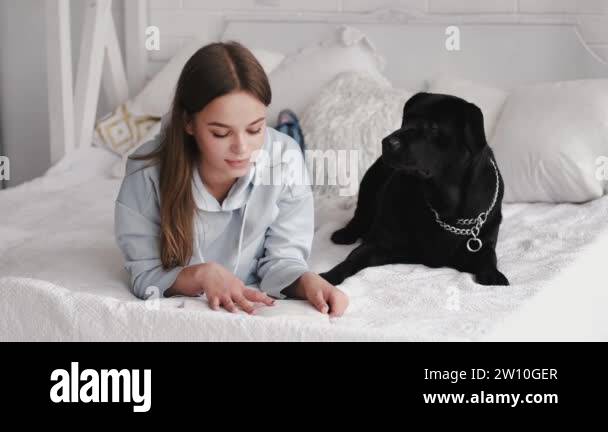 Labrador reading Stock Videos & Footage - HD and 4K Video Clips - Alamy