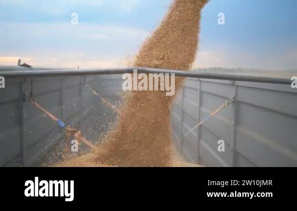 Auger loading on truck Stock Videos & Footage - HD and 4K Video Clips ...