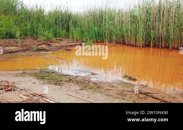 Shore of polluted by sewage city river with muddy brown water and ...