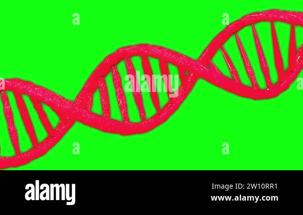 dna animation green screen animation, helix animation dna 3d 4k green ...