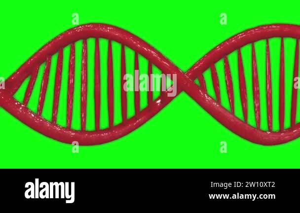 dna animation green screen animation, helix animation dna 3d 4k green ...