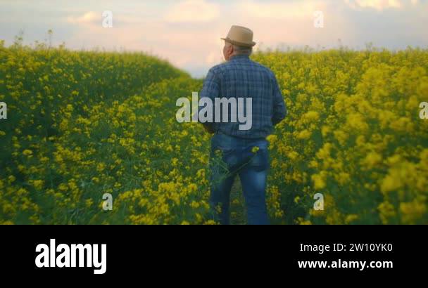 Back an Elderly male farmer in a hat stands at sunset and looks into ...