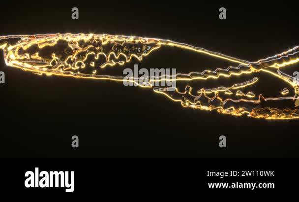 Rotating fluid Stock Videos & Footage - HD and 4K Video Clips - Alamy