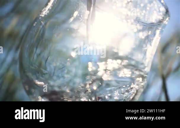 Vine forms Stock Videos & Footage - HD and 4K Video Clips - Alamy