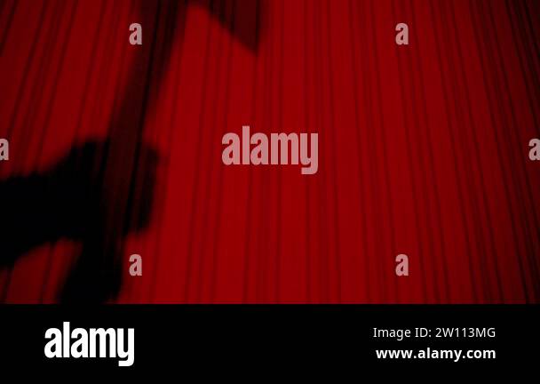 A man kills his victim with an ax. Murder. Shadow of the criminal on ...