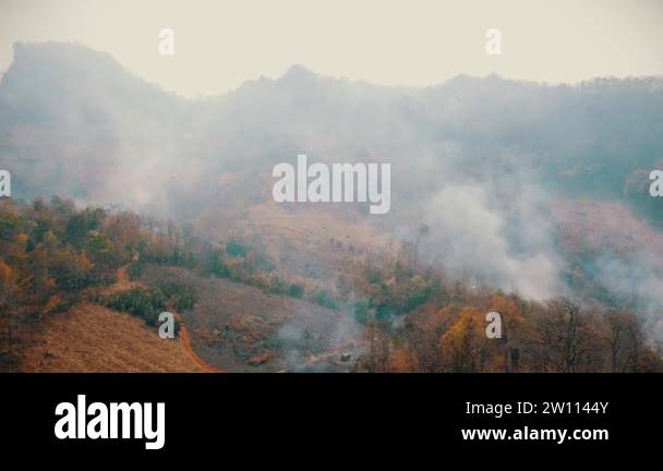 Smog of bushfire fires. Deforestation and Climate crisis. Toxic haze ...