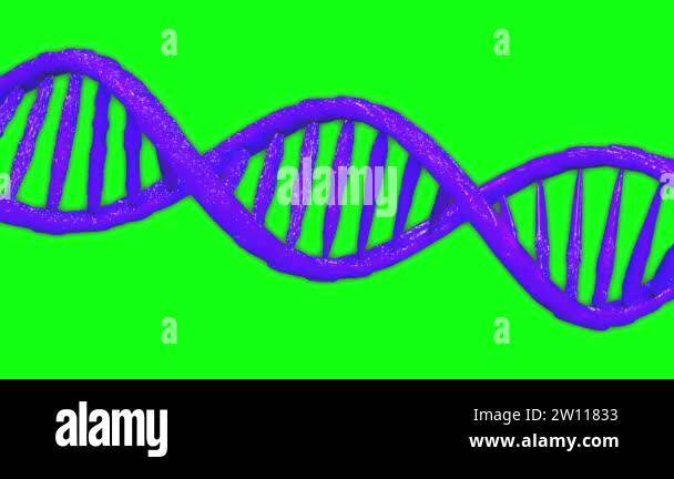 dna animation green screen animation, helix animation dna 3d 4k green ...