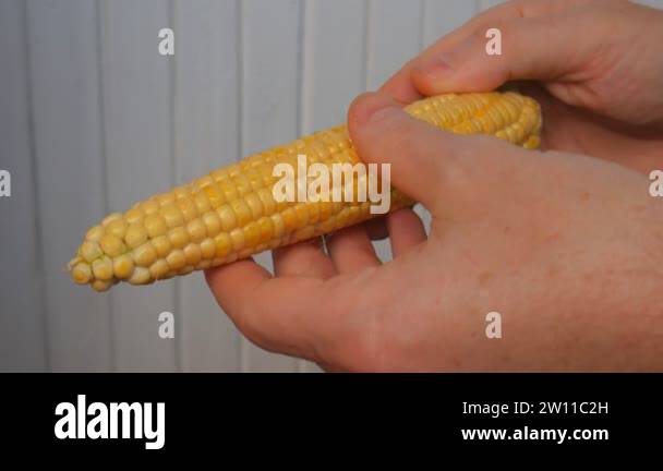 Corn inspection Stock Videos & Footage - HD and 4K Video Clips - Alamy