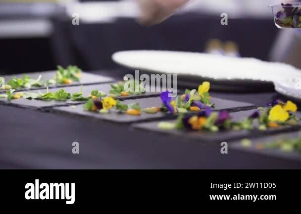 Decorated rectangular Stock Videos & Footage - HD and 4K Video Clips ...