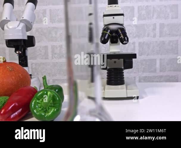 Laboratory Research . Chemical Laboratory of the Food supply . Food in ...