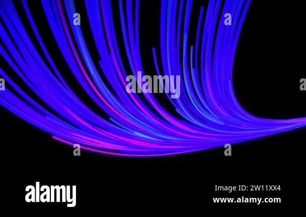 Beautiful 3D light effects, many bended blue and pink rays on black ...