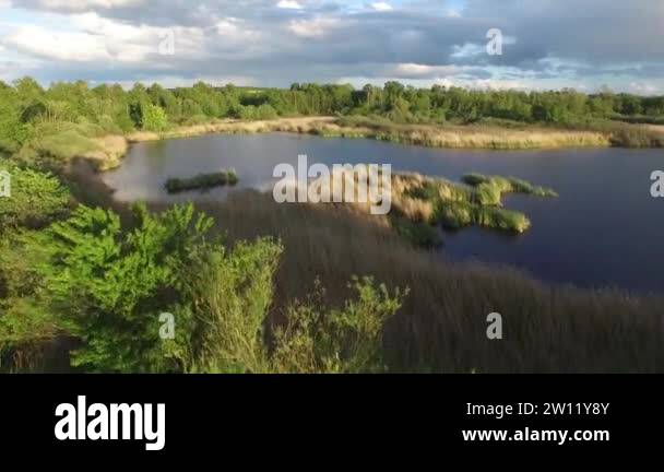 Mire mire Stock Videos & Footage - HD and 4K Video Clips - Alamy
