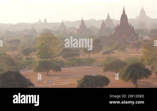 Indigenous temples Stock Videos & Footage - HD and 4K Video Clips - Alamy