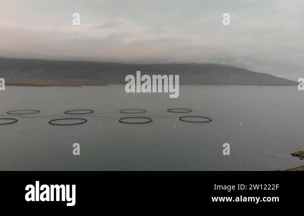 Sea fish farming in round net with floating cages in Iceland. Downward ...