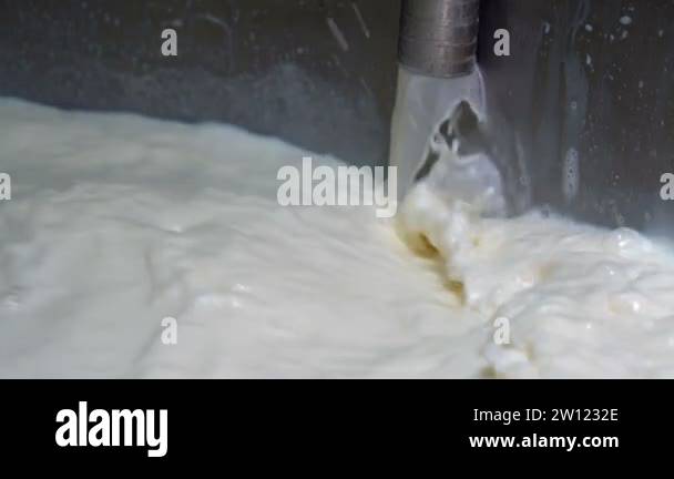 Raw Milk Pouring into Pasteurization Tank in Slow Motion. Milk ...
