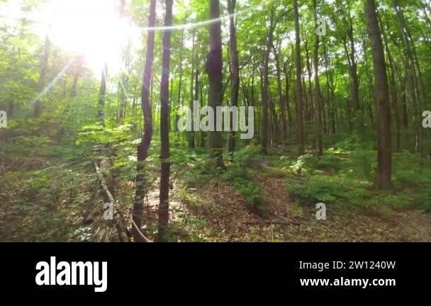 270 degree turn Stock Videos & Footage - HD and 4K Video Clips - Alamy