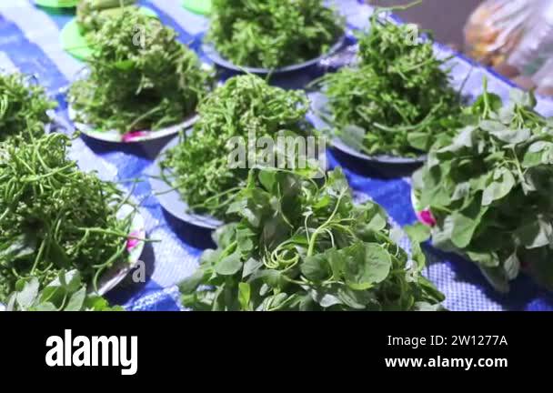 Indian spinach Stock Videos & Footage - HD and 4K Video Clips - Alamy