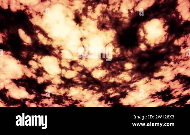 Abstract hot red magma flowing and waving, seamless loop. Animation ...