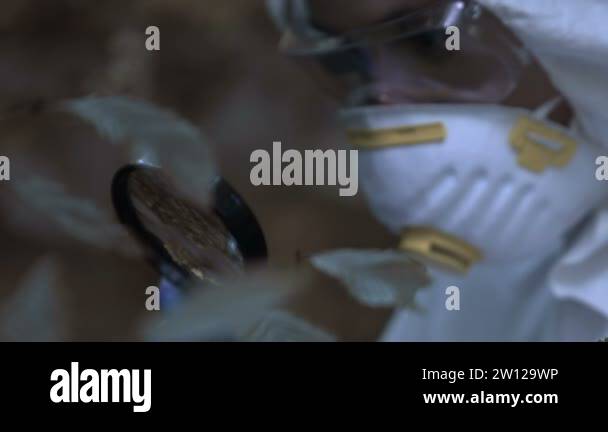 Plant pathogens Stock Videos & Footage - HD and 4K Video Clips - Alamy