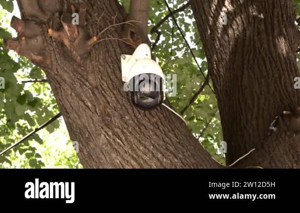 Tree mounted security camera Stock Videos & Footage - HD and 4K Video ...